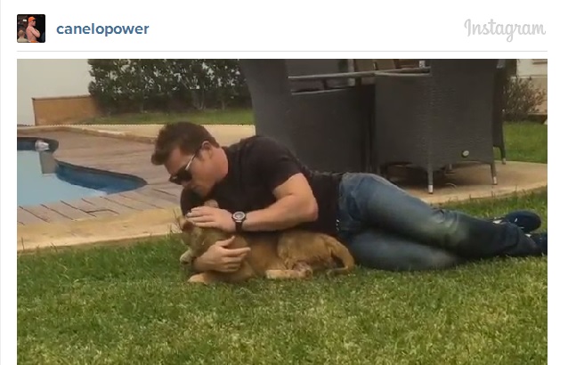 'Canelo' Álvarez Levanta Polémica Al Presumir Nueva Mascota: Un ...