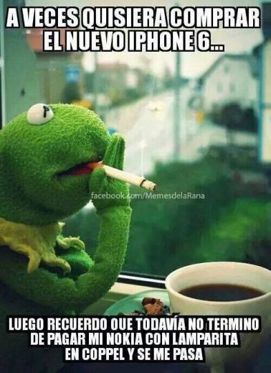 ¡Todo Un Hit! La Rana René Hace Historia Con Memes En Redes. Chécalos: