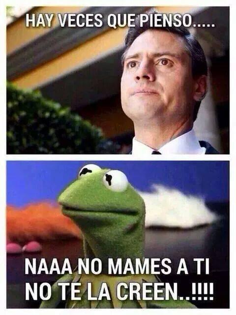 ¡Todo Un Hit! La Rana René Hace Historia Con Memes En Redes. Chécalos ...