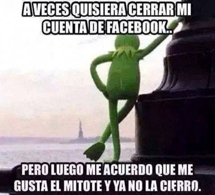 ¡Todo Un Hit! La Rana René Hace Historia Con Memes En Redes. Chécalos:
