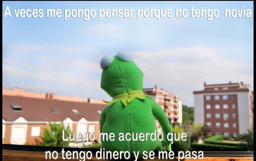 ¡Todo Un Hit! La Rana René Hace Historia Con Memes En Redes. Chécalos:
