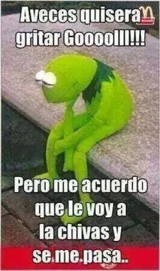 ¡Todo Un Hit! La Rana René Hace Historia Con Memes En Redes. Chécalos ...