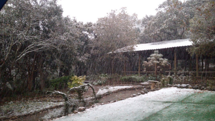 #México: Se Registran Nevadas En Galeana Y Chipinque En Nuevo León ...