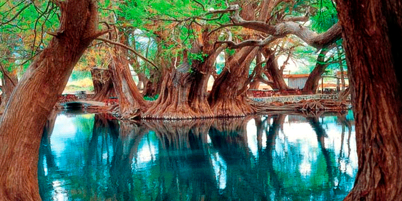 Impulsar El Turismo Sostenible En Michoacán - Changoonga.com - Noticias ...