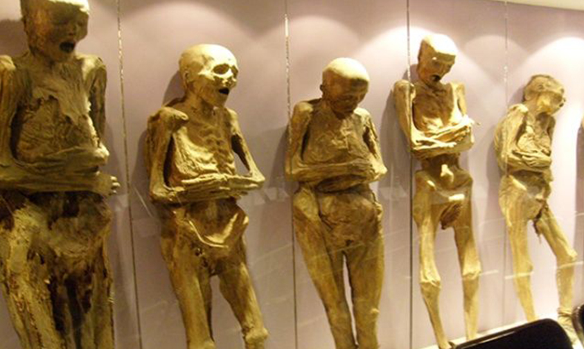 #OMG Momias Serán El Nuevo Atractivo Turístico De #Morelia - Changoonga ...