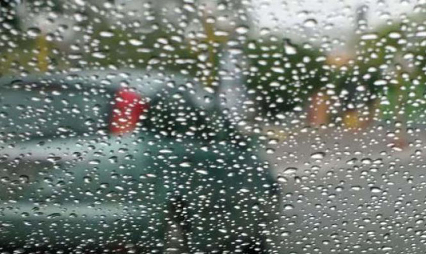 Lloviznas Y Máximas Temperaturas Para Michoacán