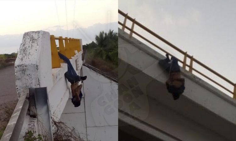 En Puente De La Siglo Xxi Encuentran Cadáver Colgado