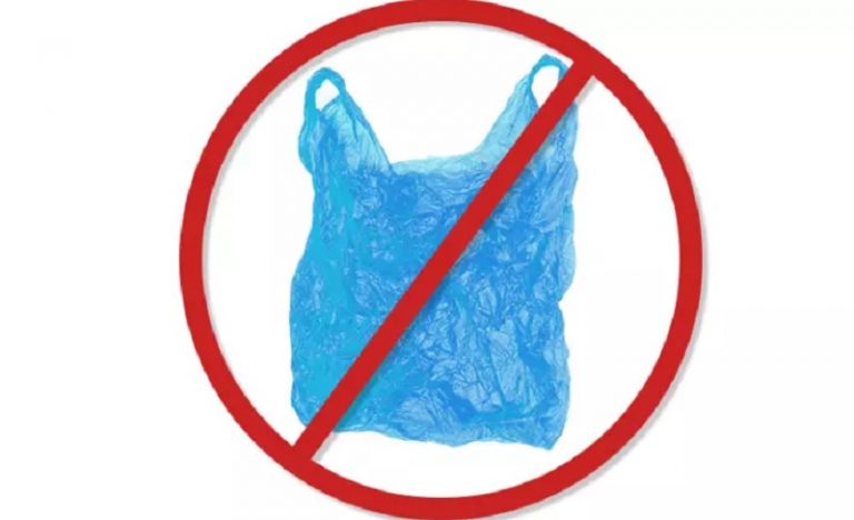 Aclaran Que Prohibición En Michoacán De Plásticos De Un Solo Uso Será ...