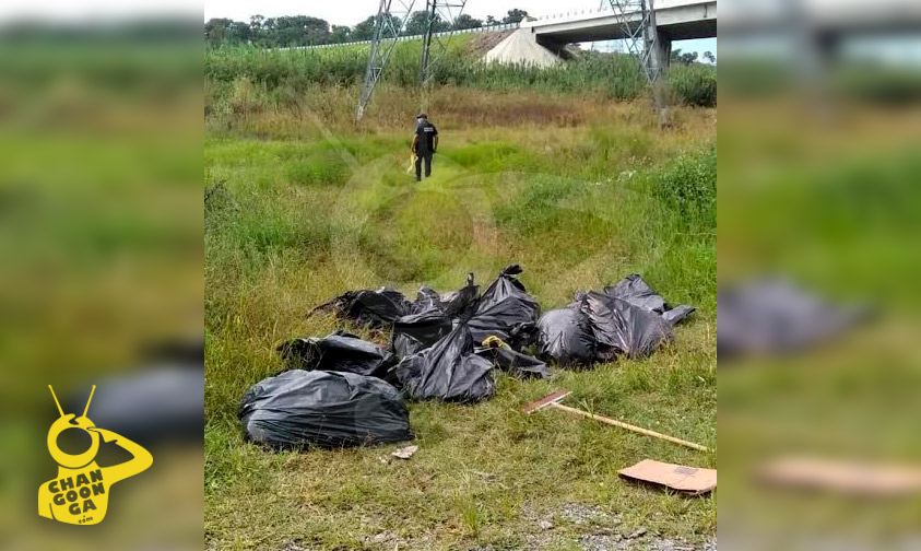Pasa En México: Abandonan 17 Bolsas Con Restos Humanos En Tala