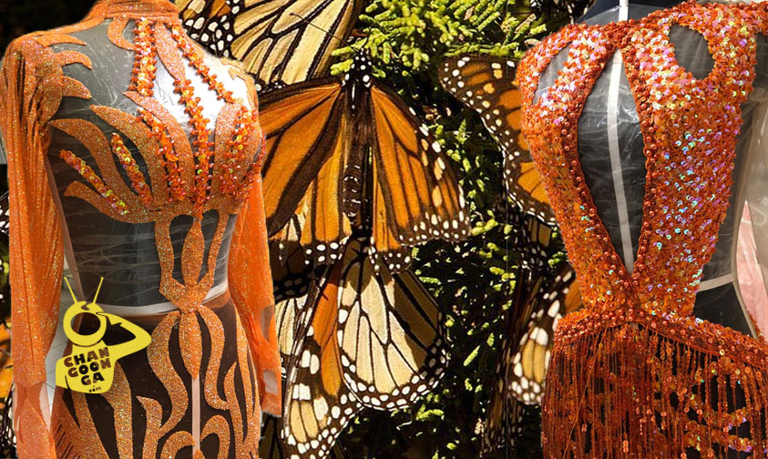 Diseñador Michoacano Prepara Vestidos De Mariposa Monarca Para Fashion ...