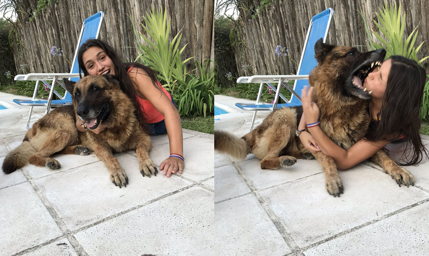 Wtf Peludo Ataca A Su Dueña En Plena Sesión De Fotos