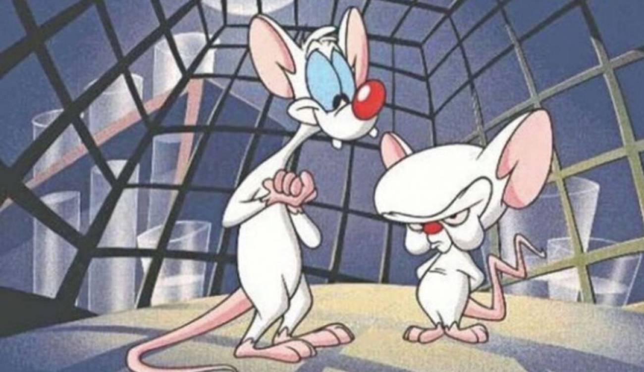Este Año Pinky Y Cerebro Podrían Regresar Con Nuevos Episodios