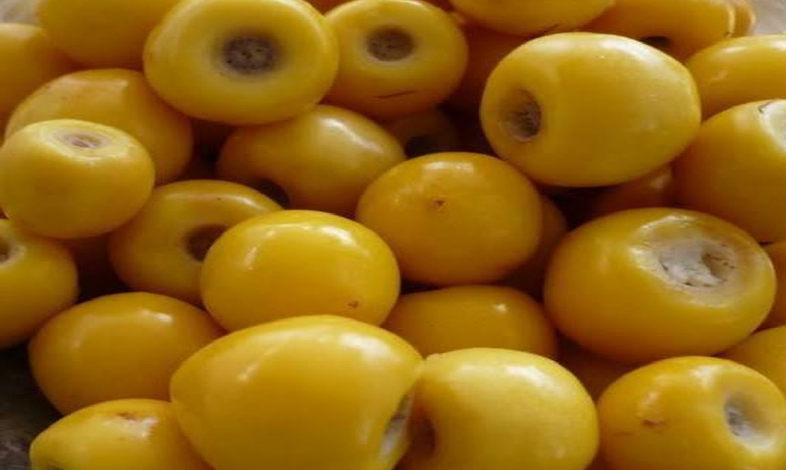 #Michoacán Orgulloso Segundo Lugar En Producción De Changungas