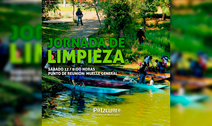 ¿Jalan O Se Arrugan? Convocan A Limpiar De Lirio El Lago De Pátzcuaro ...