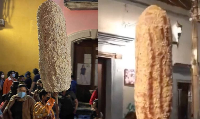 Elotes Gigantes Roban Corazones En Redes ¿Son De Verdad O Montaje?