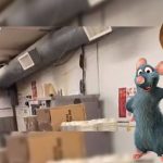 Chefcito, ¿Eres tú?: Captan En Vídeo Plaga De Ratas En Un Restaurante ...