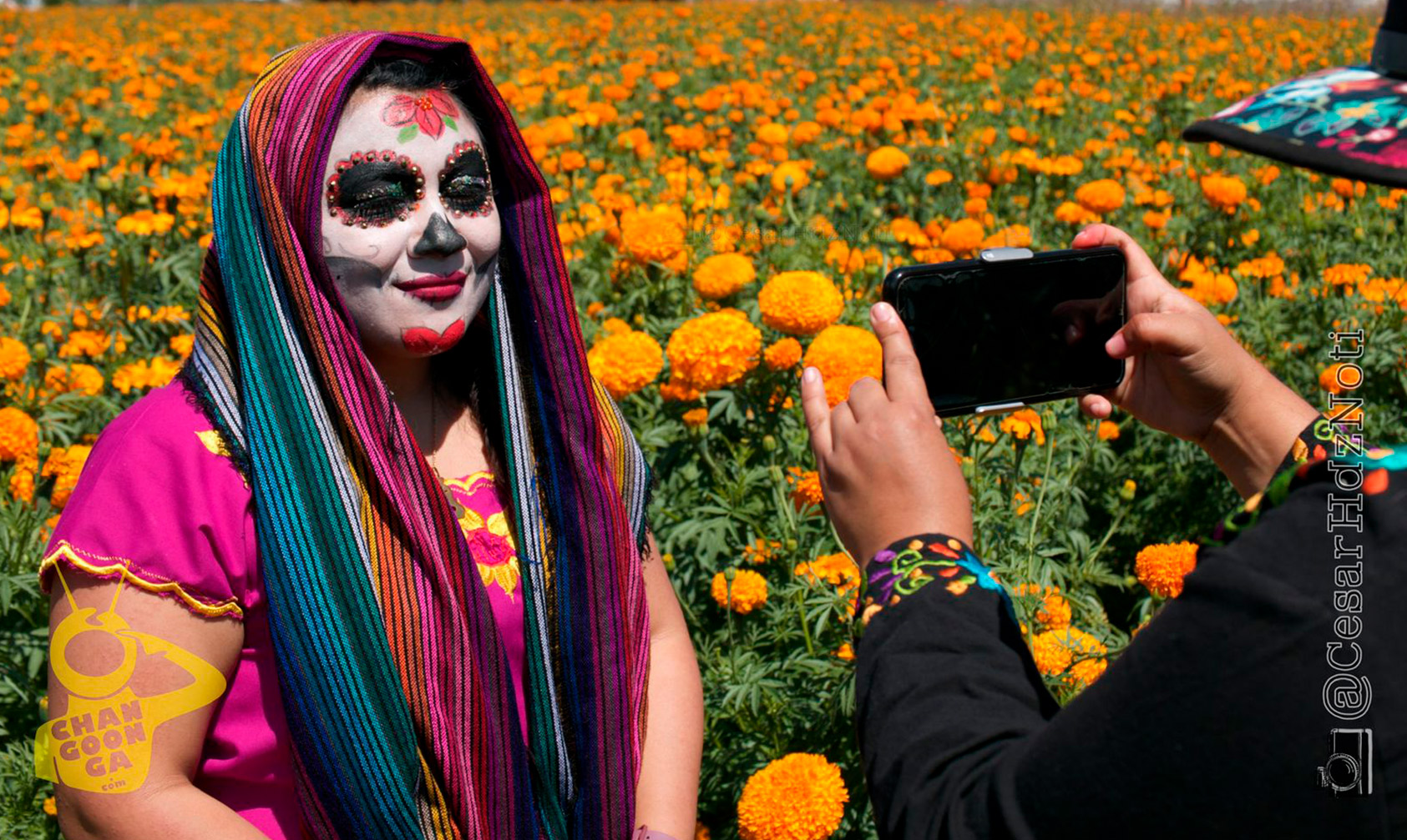 #Michoacán En Copándaro Te Esperan Con Los Sembradíos De Cempasúchil ...