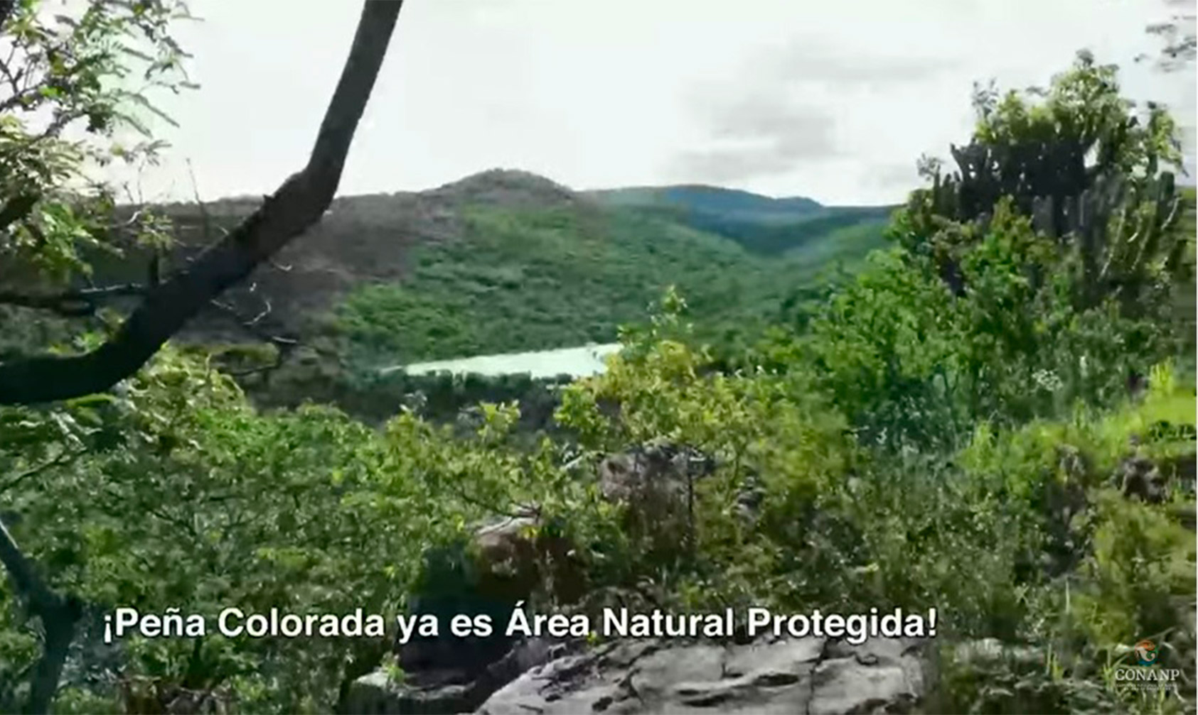 #México ¡Tras 2 Décadas! Al Fin Declaran A Peña Colorada Como Área ...