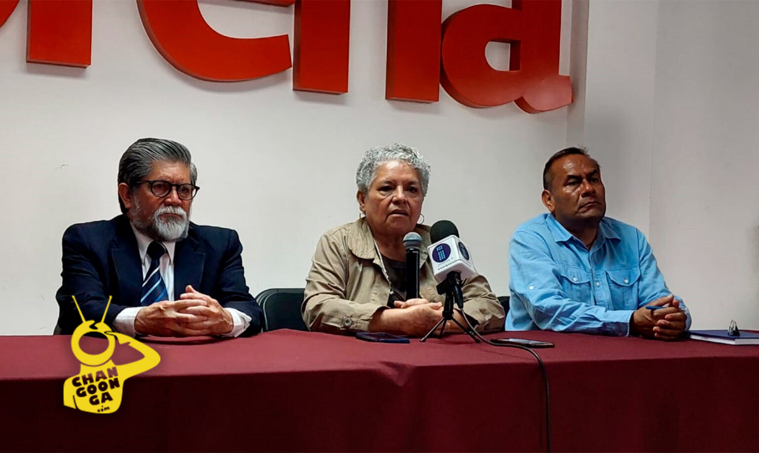 #Michoacán Cazaron A 70 Mapaches Como ‘Tontitos’, Dirigencia Estatal No ...