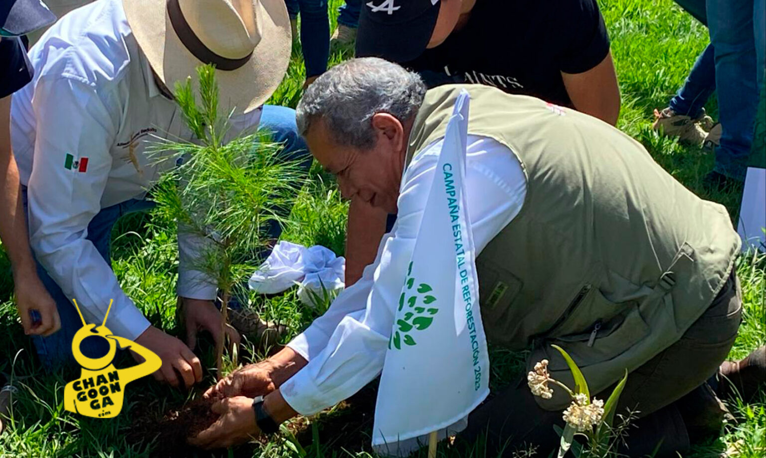 ¡Ten Pino Y Planta! Bedolla Inicia Campaña De Reforestación En ...