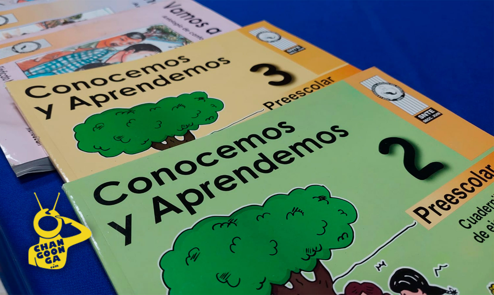 #Michoacán CNTE Azul Usará Sus Propios Libros Y NO Los Nuevos De La SEP ...