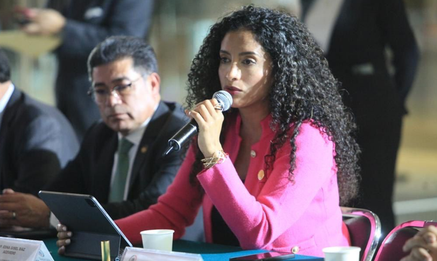 La Legisladora Michoacana Edna Díaz Se Suma Al Equipo De Xóchitl Gálvez ...