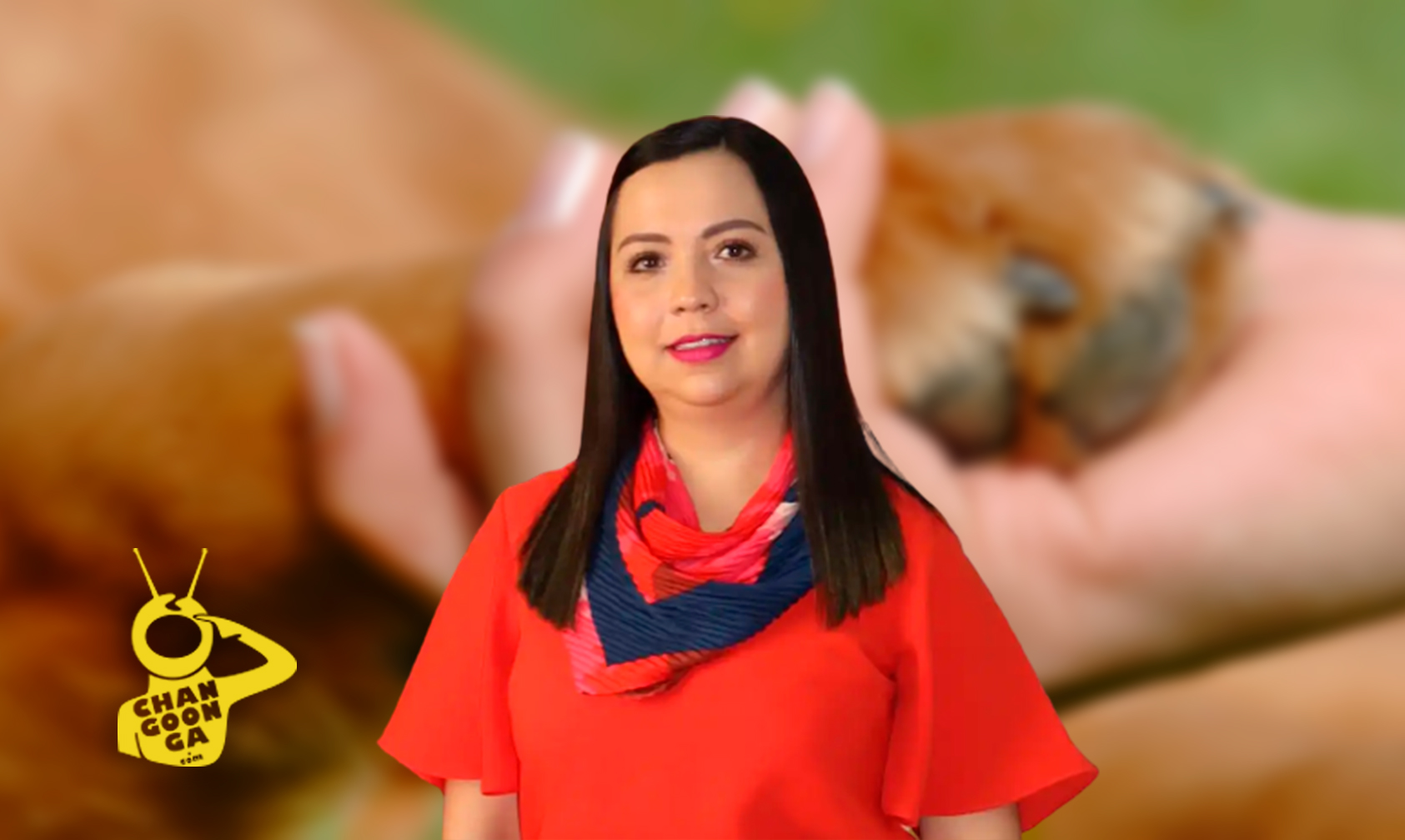 #Michoacán Anuncia Segundo Festival Regional De Protección Animal ...