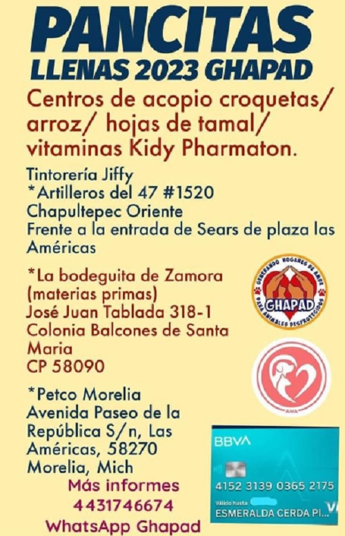#Morelia De Nueva Cuenta Op. Pancitas Llenas Para Alimentar A Peludos ...