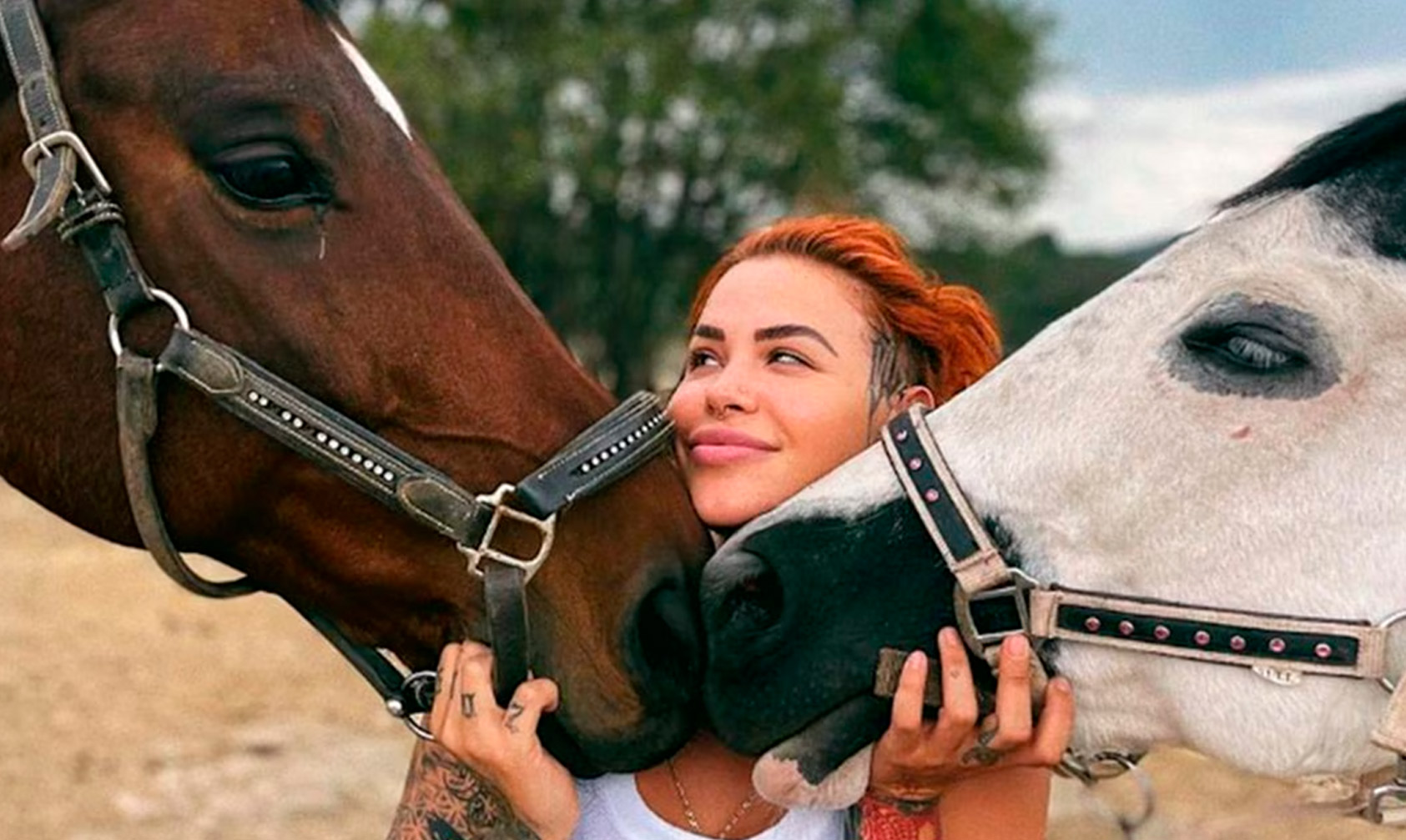 Seguidores Lanzan Petición "Ley Elena" Para Tipificar Abuso VS Animales ...