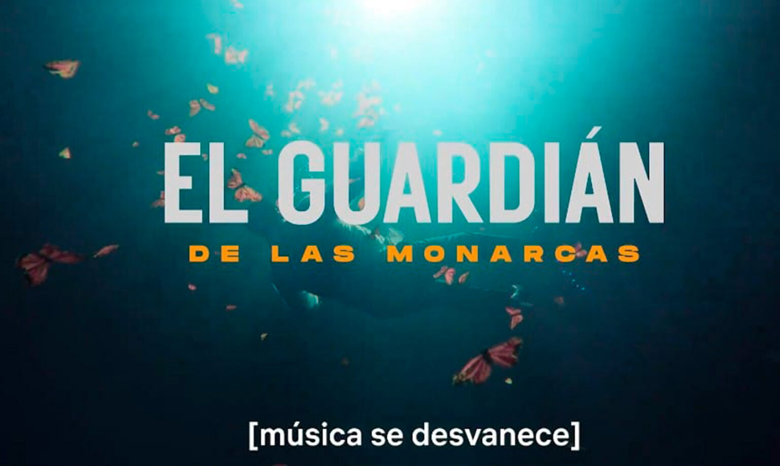 El Guardian De Las Monarcas: Netflix Lanza Tráiler Sobre Documental Del ...