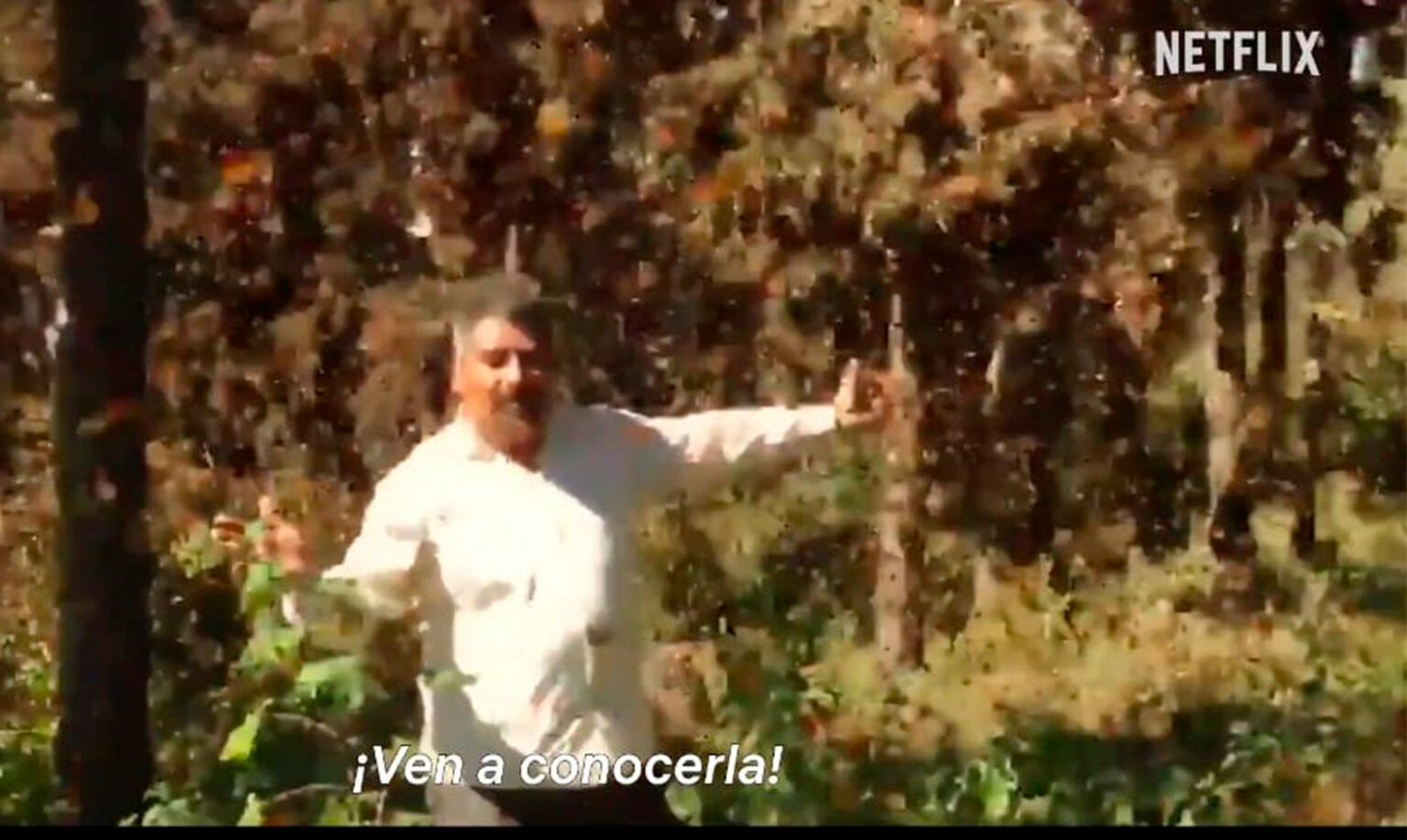 El Guardian De Las Monarcas: Netflix Lanza Tráiler Sobre Documental Del Ecologista Michoacano ...