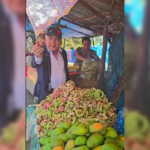 Los Mejores Pinzanes De Michoacán Están En Lombardía: Mitzy ...